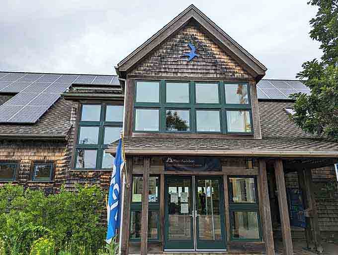 Mass Audubon's Joppa Flats Center blends rustic shingled charm with modern glass, where nature education meets architectural thoughtfulness and coastal beauty.