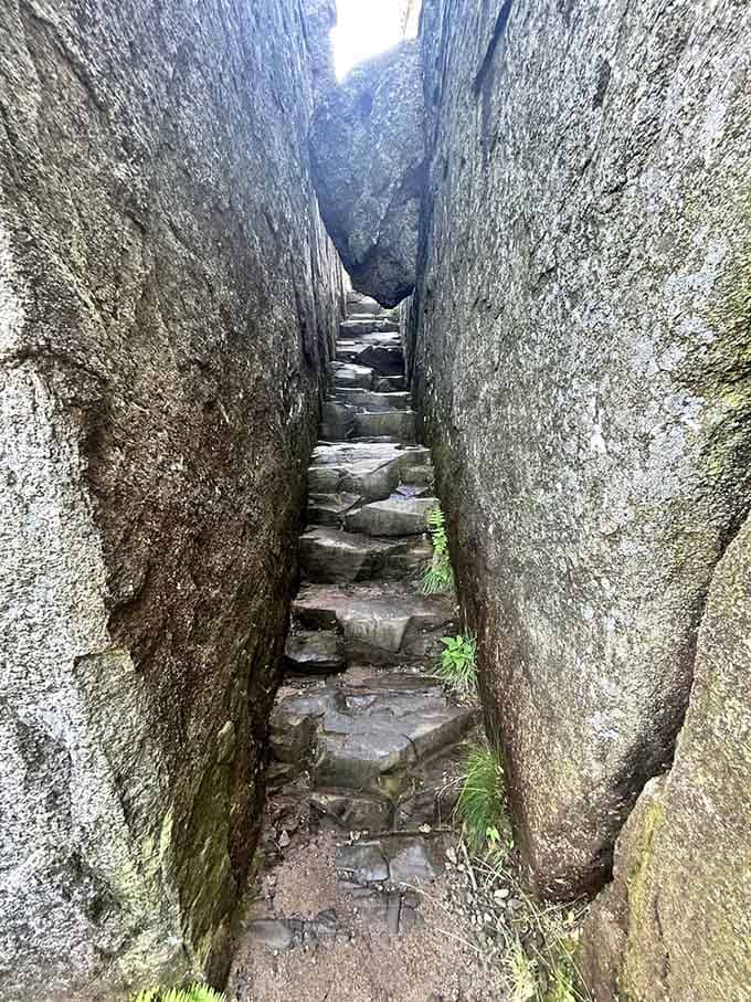 The infamous squeeze: where backpacks go to test your commitment and patience gets its daily workout.