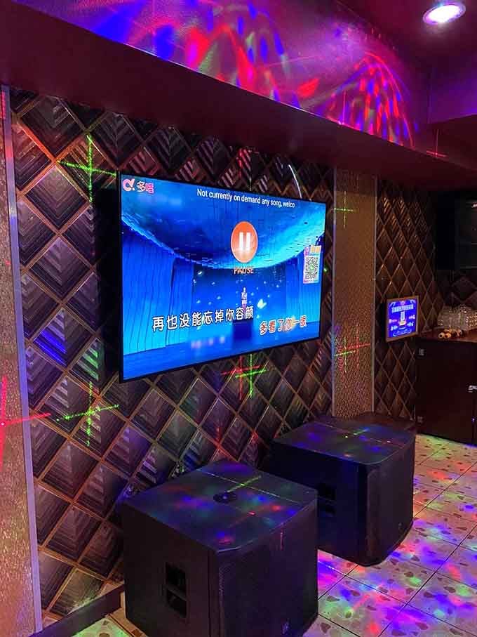 The karaoke room features a mahjong table and leopard print walls, because why choose between entertainment options when you can have both?