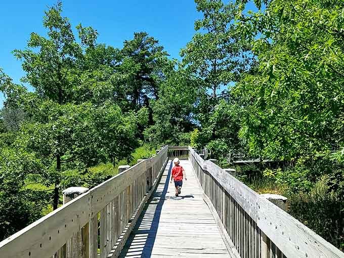 A footbridge through the forest where your biggest decision is whether to walk fast or really, really slow.