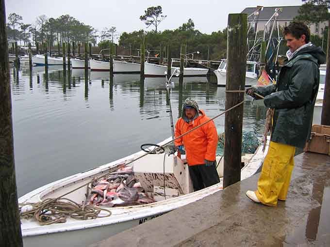 Fresh catch and satisfied fishermen prove that patience and early mornings still pay dividends on these waters.