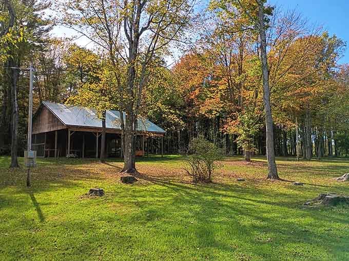 The rustic shelter provides welcome respite, surrounded by fall colors that remind you why autumn in New York is legendary.