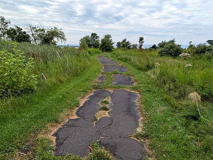 Trails wind through protected dune ecosystems where nature does its quiet, essential work.