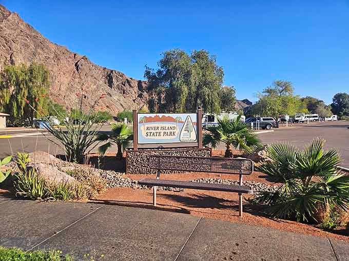 River Island State Park welcomes you to Arizona's best-kept secret: actual beaches in the desert.