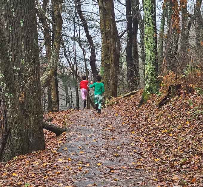Young adventurers in bright jackets discover that nature's classroom beats any indoor lesson, hands down, every single time.