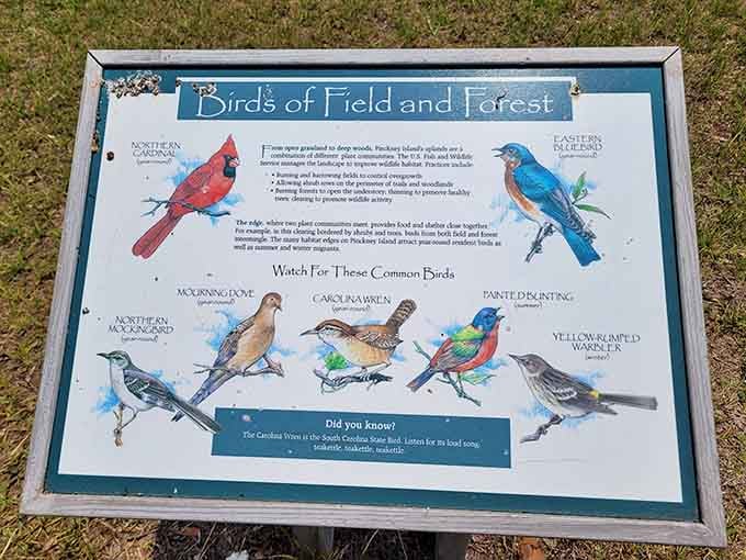 Educational signs help identify your feathered neighbors, turning every walk into a delightful ornithology class without the final exam.