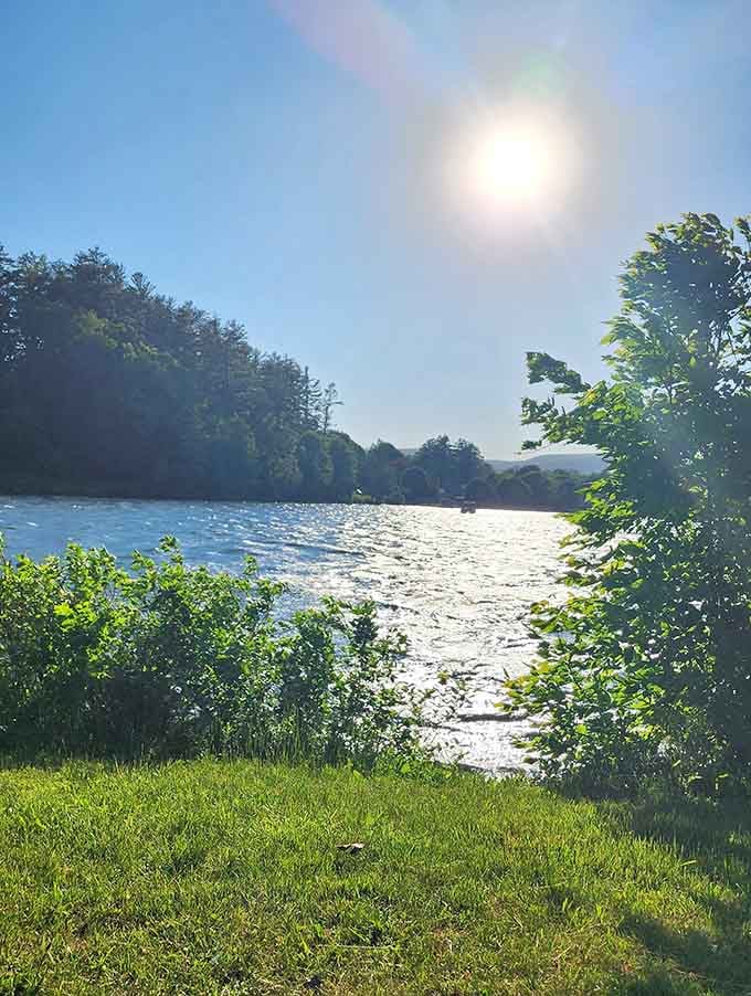 Sunlight dancing on the water through the trees creates the kind of magic that no filter could ever improve upon.