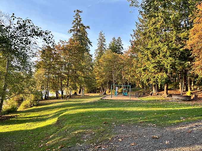Autumn light filters through towering evergreens onto playground equipment where generations of families have created lasting memories together.