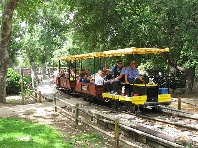 The open-air train glides through dappled shade, offering breezy comfort on sunny California afternoons.