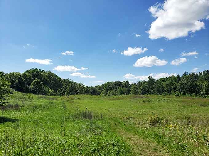 Open fields invite exploration, reminding you why humans invented walking before they invented sitting on couches.