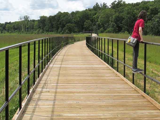 This elevated boardwalk provides stunning wetland views without the soggy shoes that usually come with the territory.