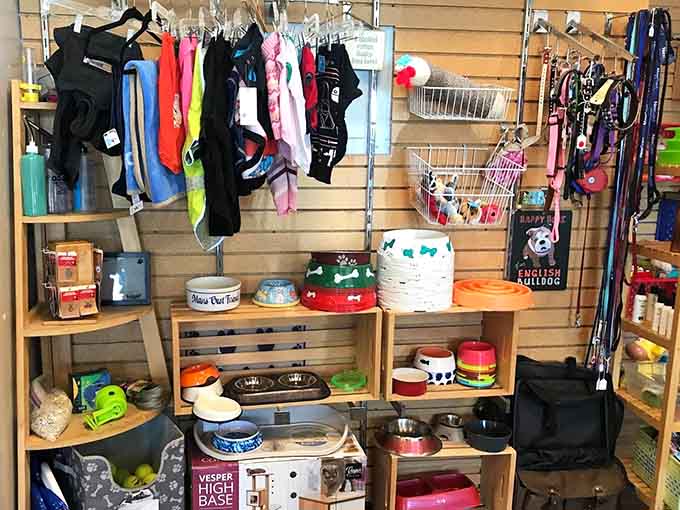 Pet supplies fill the shelves, proving that even Fido and Fluffy deserve bargains on their bowls and leashes.