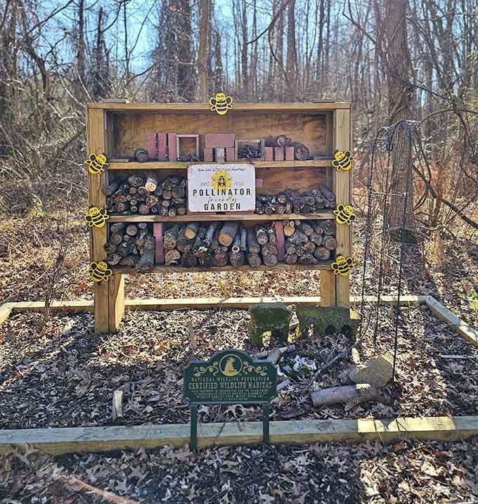 Bee hotels providing luxury accommodations for pollinators, because even insects deserve nice digs in Burlington County.