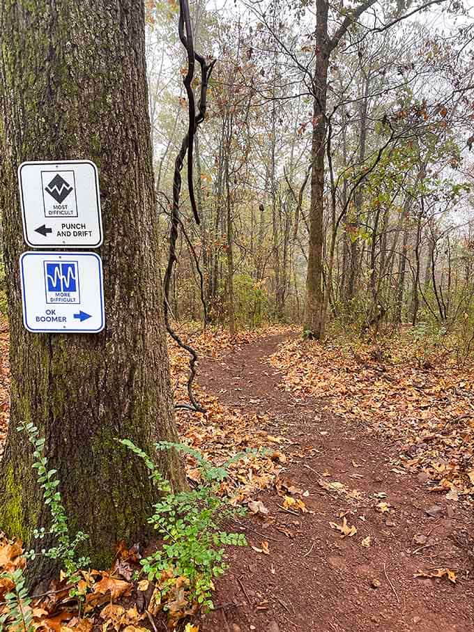 Trail markers point adventurers toward "Punch and Drift" or "OK Boomer," proving mountain bikers have excellent senses of humor.