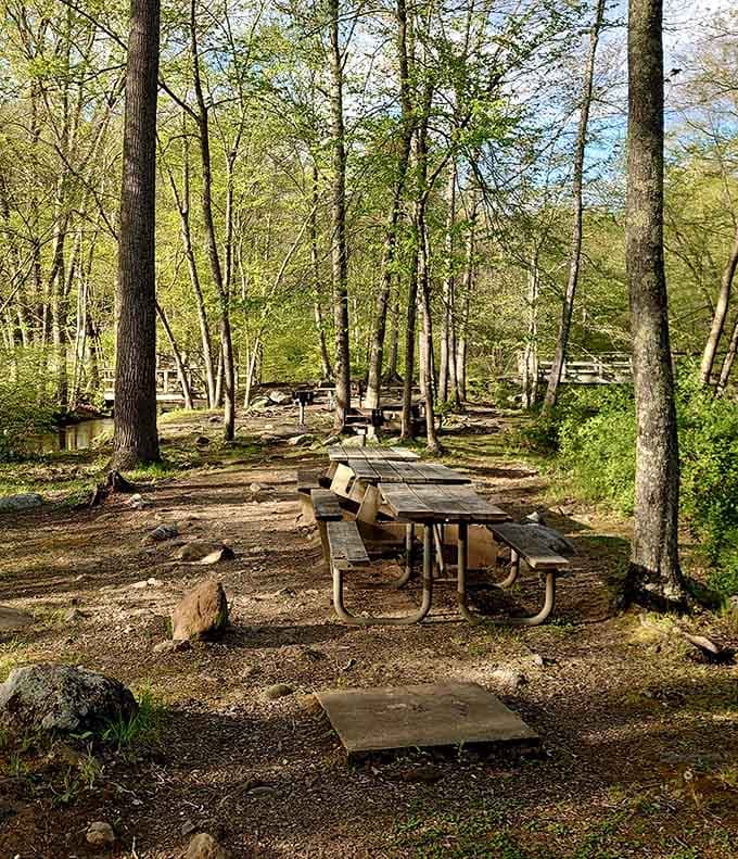 Picnic tables nestled among trees where lunch tastes better simply because you're eating it here.