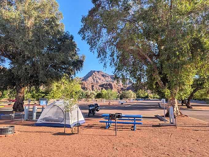 Camping spots with views like this make you wonder why anyone bothers with fancy hotels anymore.