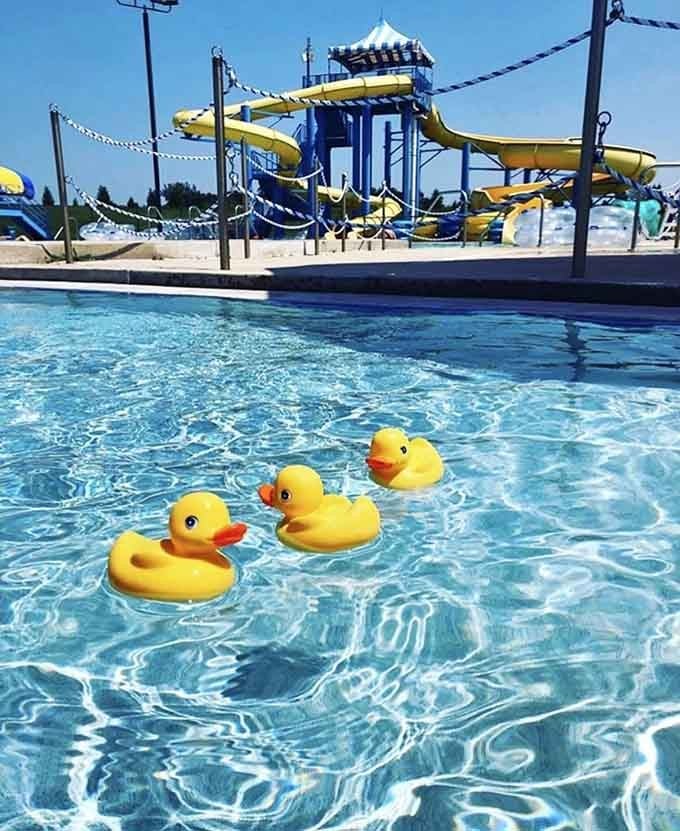 Even rubber duckies know a good pool when they see one floating in crystal-clear Minnesota water.