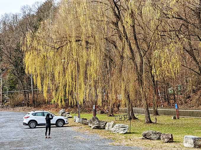 Willow Kiln Park offers the kind of peaceful riverside setting that makes you forget your phone exists for five minutes.