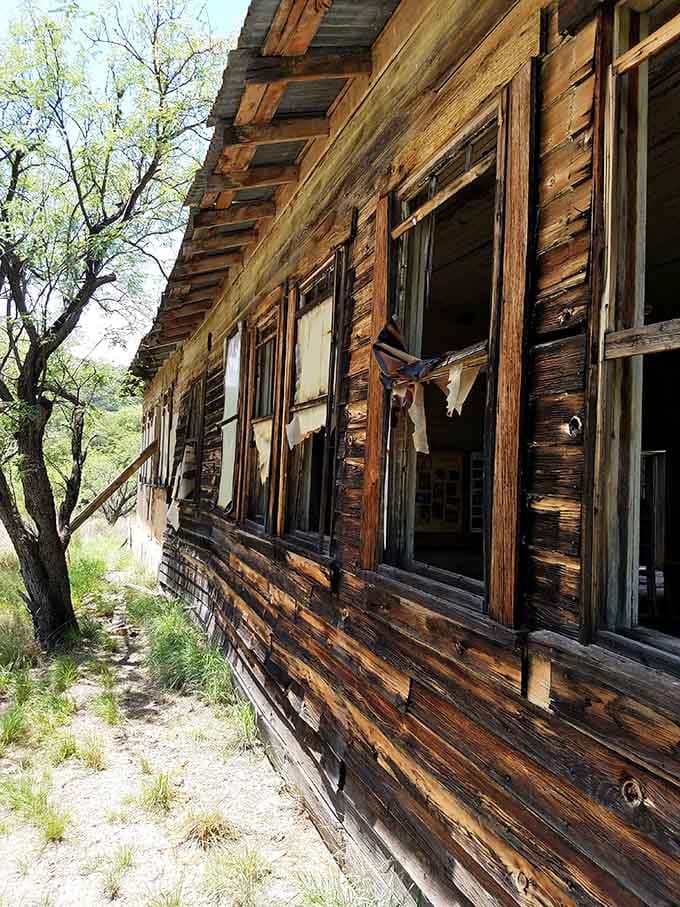 Weathered wood siding tells decades of stories through every crack and missing pane, like reading history in Braille.