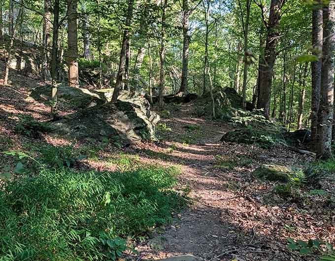 Trails that wind through forests so green, you'll wonder if someone turned up the saturation on reality itself.