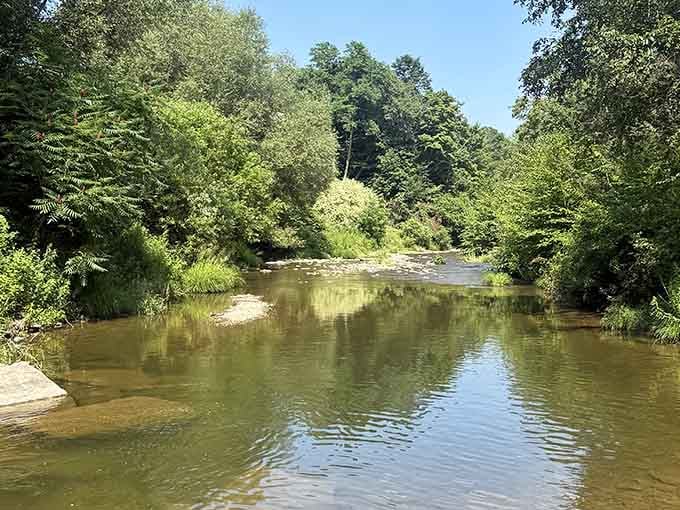 Peaceful waters reflecting the kind of tranquility that no meditation app can truly replicate for you here.