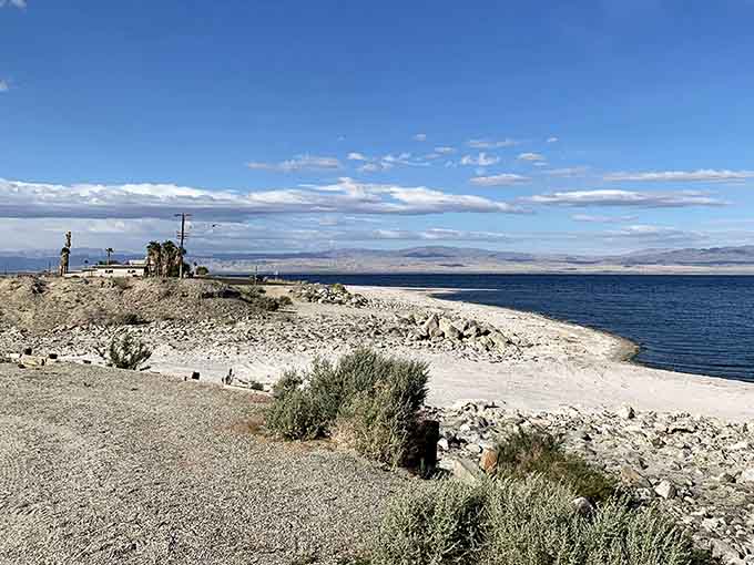 The curved shoreline stretches toward distant mountains, framing this accidental sea in dramatic desert beauty that photographers absolutely adore.