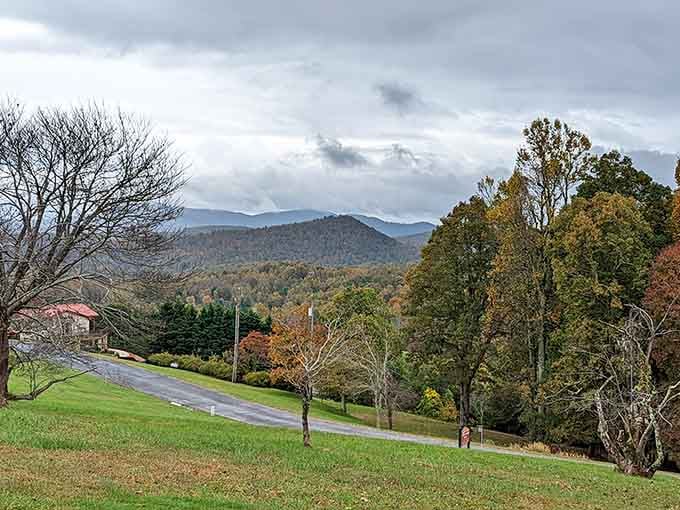 Mountain views that make you understand why people write songs about these peaks, then immediately forget the lyrics.
