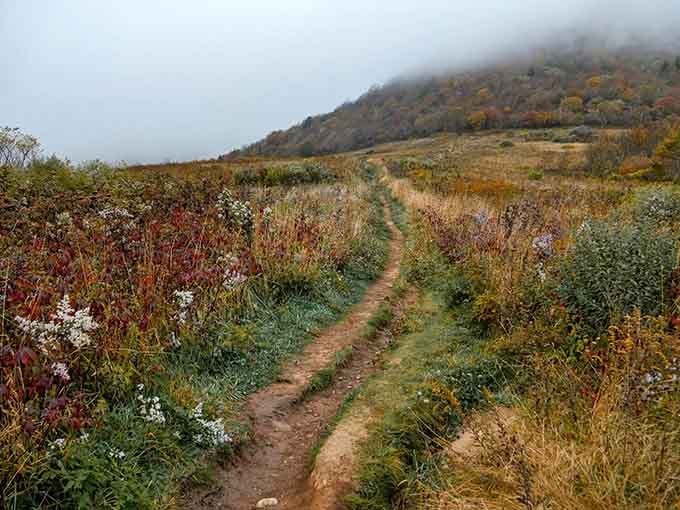 Hikers make their way through autumn's palette, dwarfed by the landscape in the most humbling, wonderful way possible.