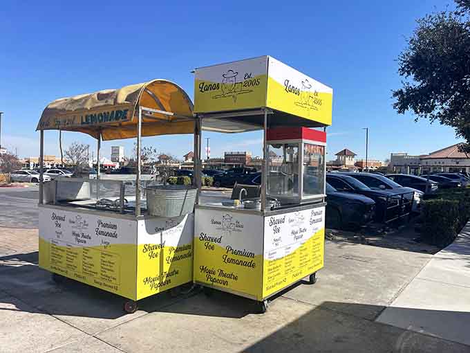 Fresh lemonade stand brightening up the shopping experience, because bargain hunting is thirsty work under the Texas sun.
