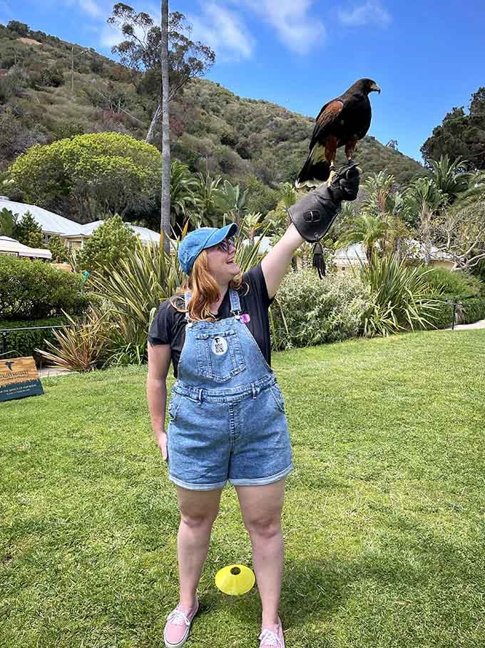 The Catalina Falconry Experience lets you get up close with raptors who definitely know they're cooler than you.