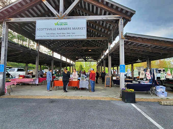 The farmers market pavilion hosts Saturday gatherings where vegetables are fresher than your morning coffee and twice as local.