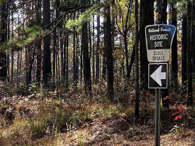 Follow the signs into the forest, where Georgia's past waits patiently among the trees for curious souls to discover it.