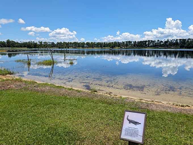 Crystal-clear waters mirror the sky so perfectly you might forget which way is up, and honestly, who cares?