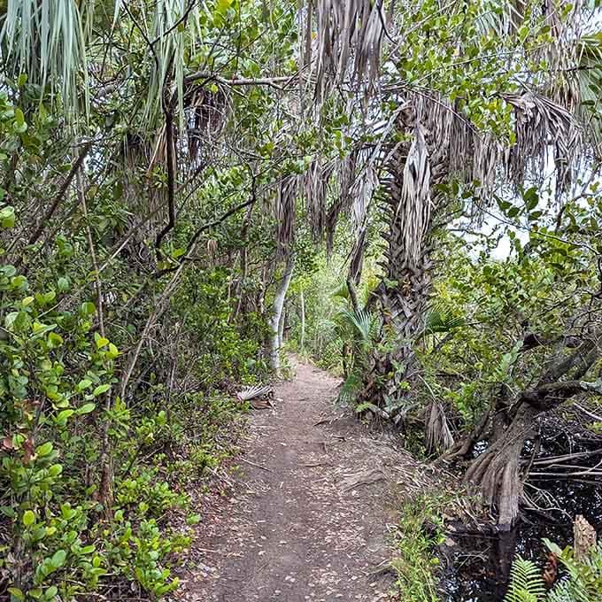 Not all paths in the Everglades are paved&mdash;some lead to shaded mysteries worth exploring on foot.