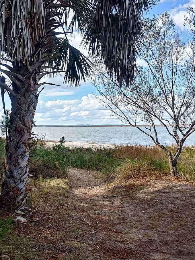 Palm-shaded trails offer glimpses of the water beyond, building anticipation for what you'll find.