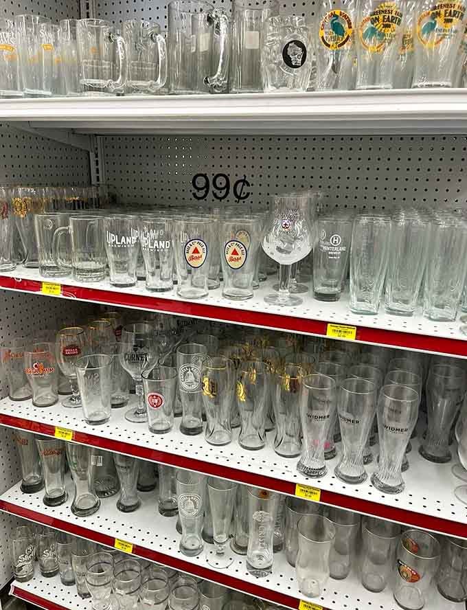 Beer glasses lined up like a Wisconsin tavern's dream collection, because proper glassware makes everything taste better, right?