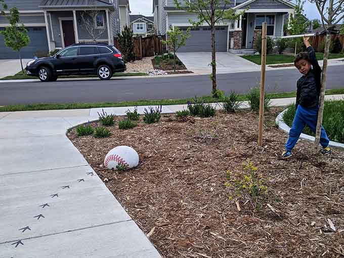 Decorative baseball and chicken footprints guide visitors along pathways with charming agricultural whimsy throughout.