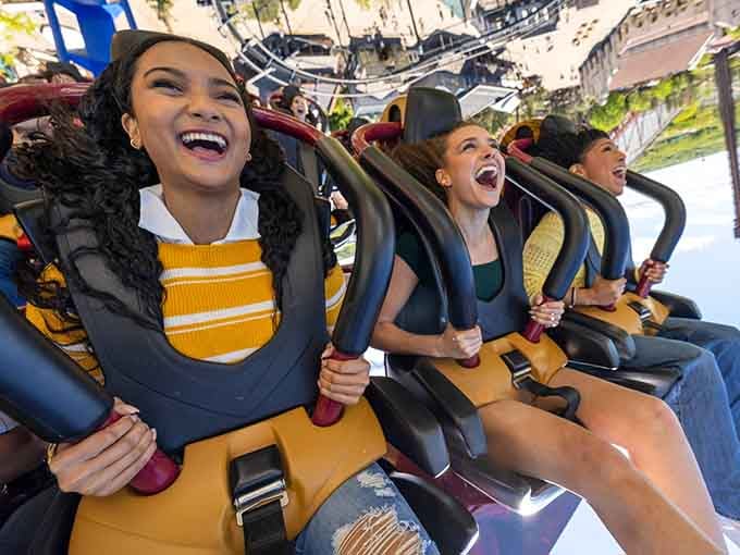 Post-ride euphoria captured perfectly, that special glow that comes from surviving something your brain said was a bad idea.