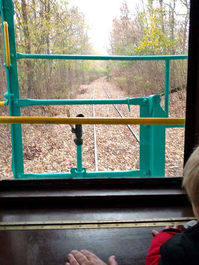The rails disappear into autumn woods like a path to somewhere you've always wanted to go but never quite found.