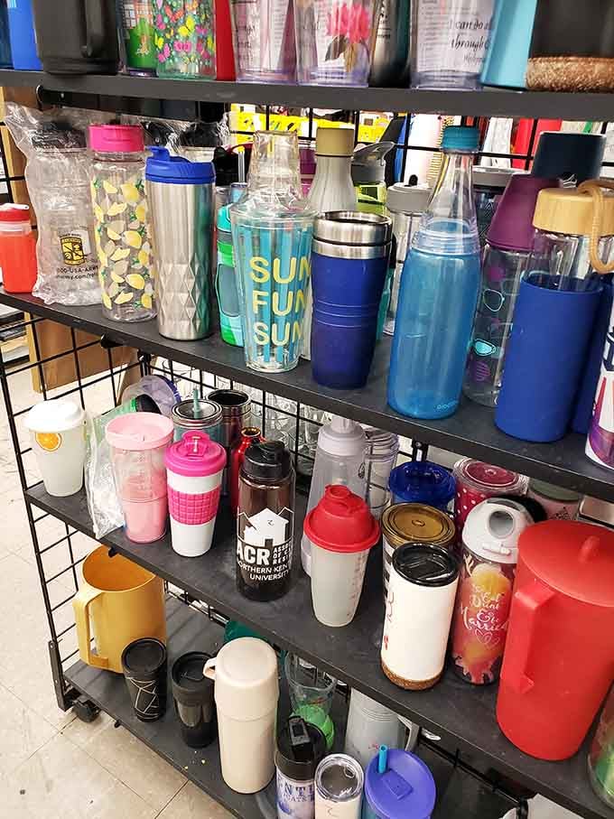 Water bottles and tumblers proving that hydration doesn't require spending your entire paycheck on trendy new containers each season.