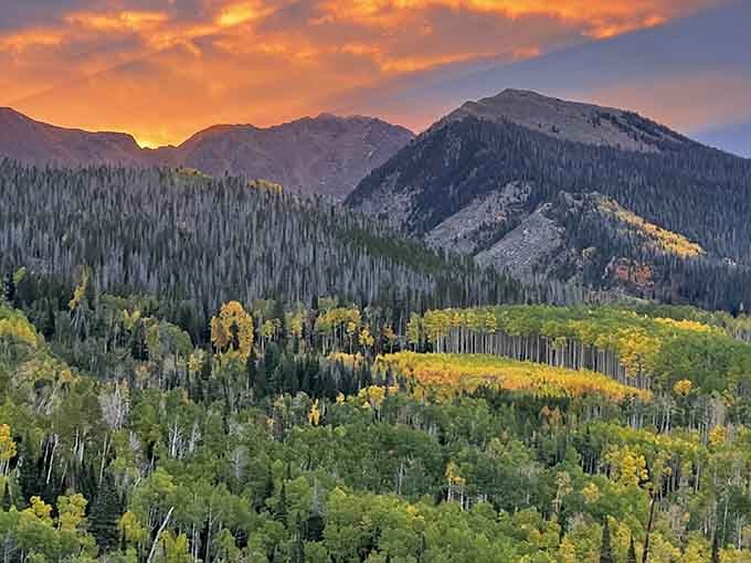 Sunset paints State Forest State Park's aspen groves in gold, proving autumn here is worth the Instagram hype.