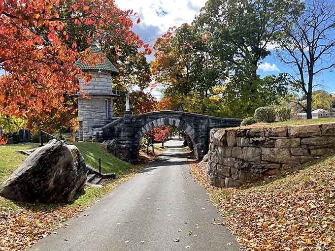 Thornrose Cemetery's stone bridge frames autumn like nature's own Instagram filter, minus the annoying hashtags and selfies.