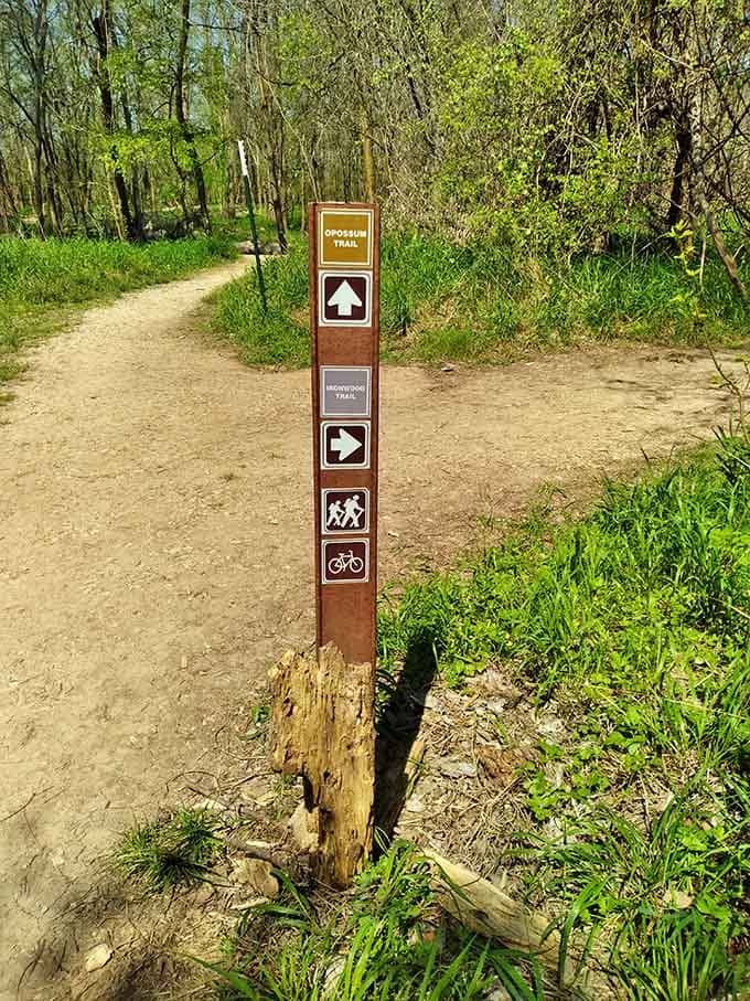 Trail markers guide you through the wilderness without being bossy about it, letting you choose your own adventure level.