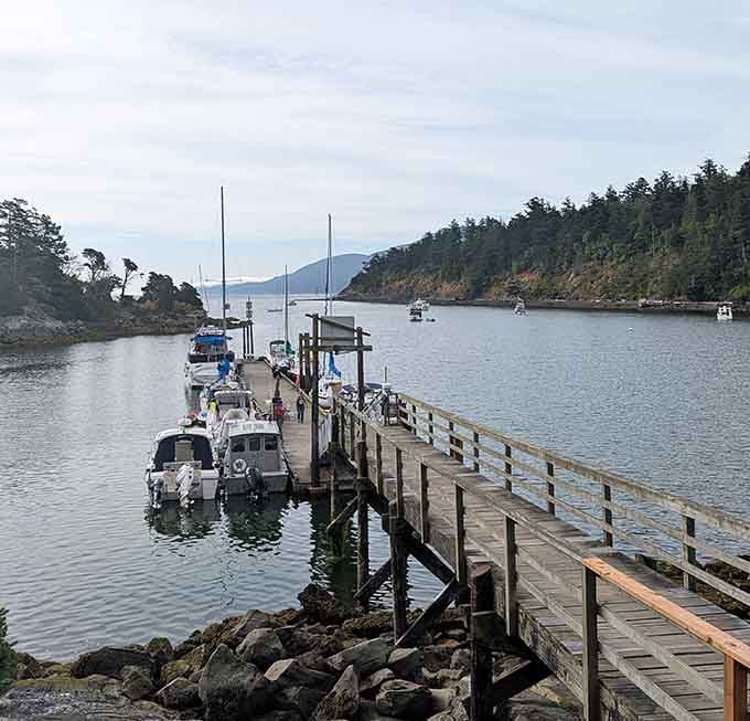 The dock welcomes visitors who made the journey, proving that the best destinations still require a little old-fashioned effort.