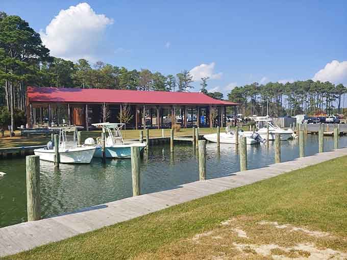 The marina facilities prove this campground understands Maryland's true calling involves boats, theme or no theme.