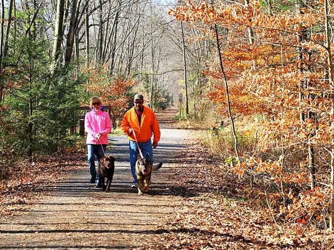 Four-legged hiking companions make every trail better, especially when autumn leaves crunch underfoot with each step.