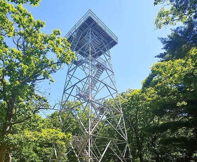 The fire tower stands sentinel over the forest, a reminder of when people actually watched for danger from above.