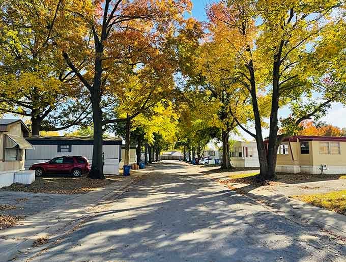 Tree-lined streets where fall colors put on a show that rivals anything you'd pay admission to see elsewhere.
