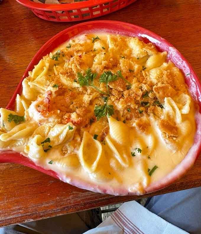 Lobster mac and cheese in a shell is comfort food that went to finishing school by the ocean.