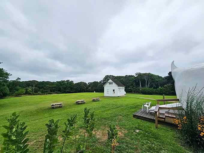 Bring a picnic and enjoy lunch in the shadow of Long Island's most unusual architectural achievement and beloved landmark.
